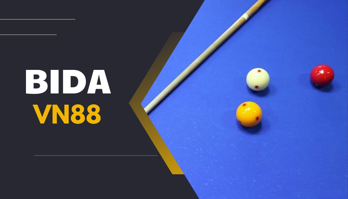 Cá Cược Bida | Cách Cá Cược Từ A đến Z Tại Nhà Cái VN88